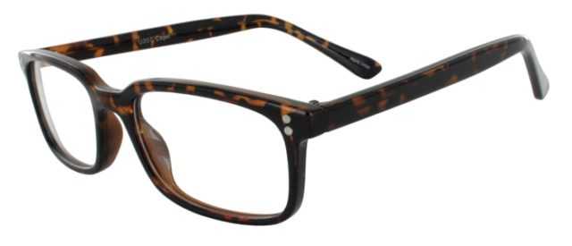 Prism Glasses - Corrective Lenses for Double Vision