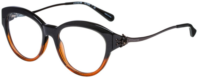 Coach Eyewear - Coach Glasses & Frames | Overnight Glasses