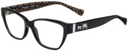 Coach Eyewear - Coach Glasses & Frames | Overnight Glasses