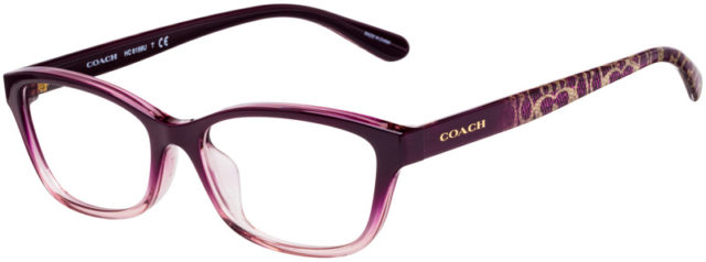 Coach Eyewear - Coach Glasses & Frames | Overnight Glasses