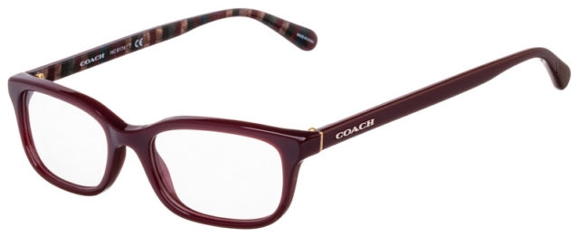 Coach HC6174 | Overnight Glasses