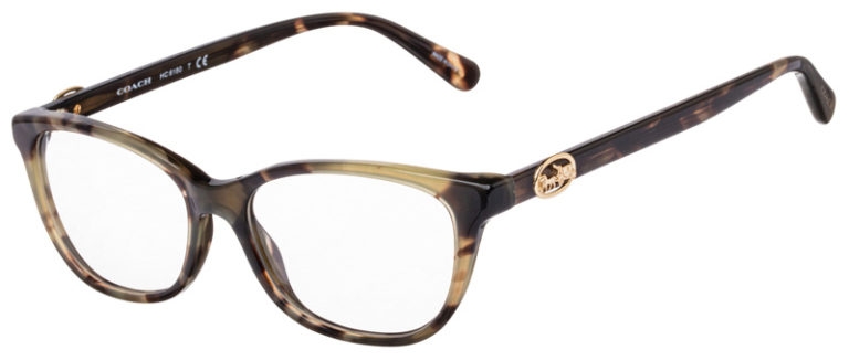 Coach HC6180 | Overnight Glasses