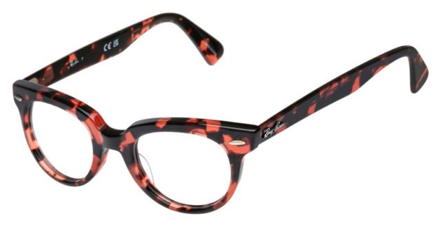 Ray Ban RB2199V | Overnight Glasses